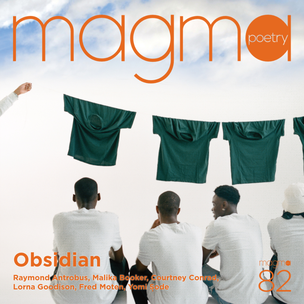 Dzifa Benson reviews Shane McCrae, Sarah Westcott and Maia Elsner ...